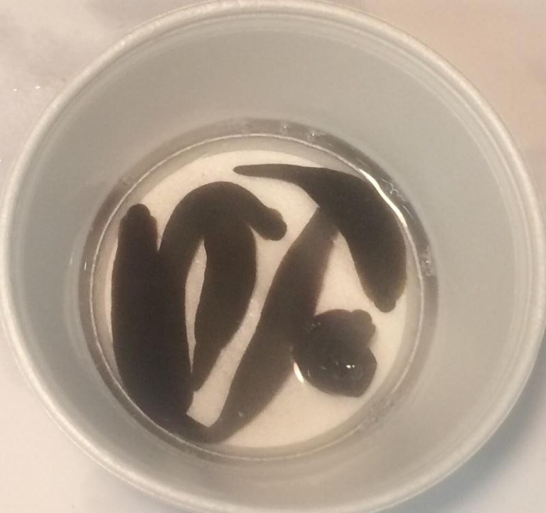 Leeches - Dick Smith's Live Bait & Tackle