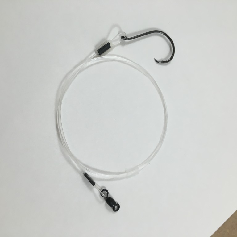 Red Tail Chubs - Dick Smith's Live Bait & Tackle